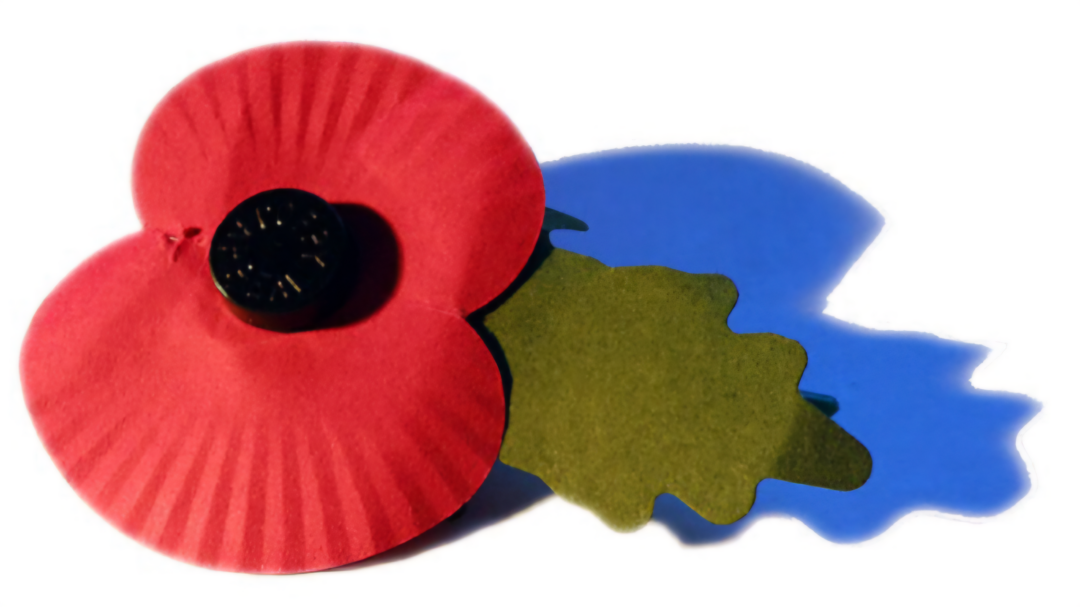 London Poppy Day raises over £1.2 million - Pathfinder International ...